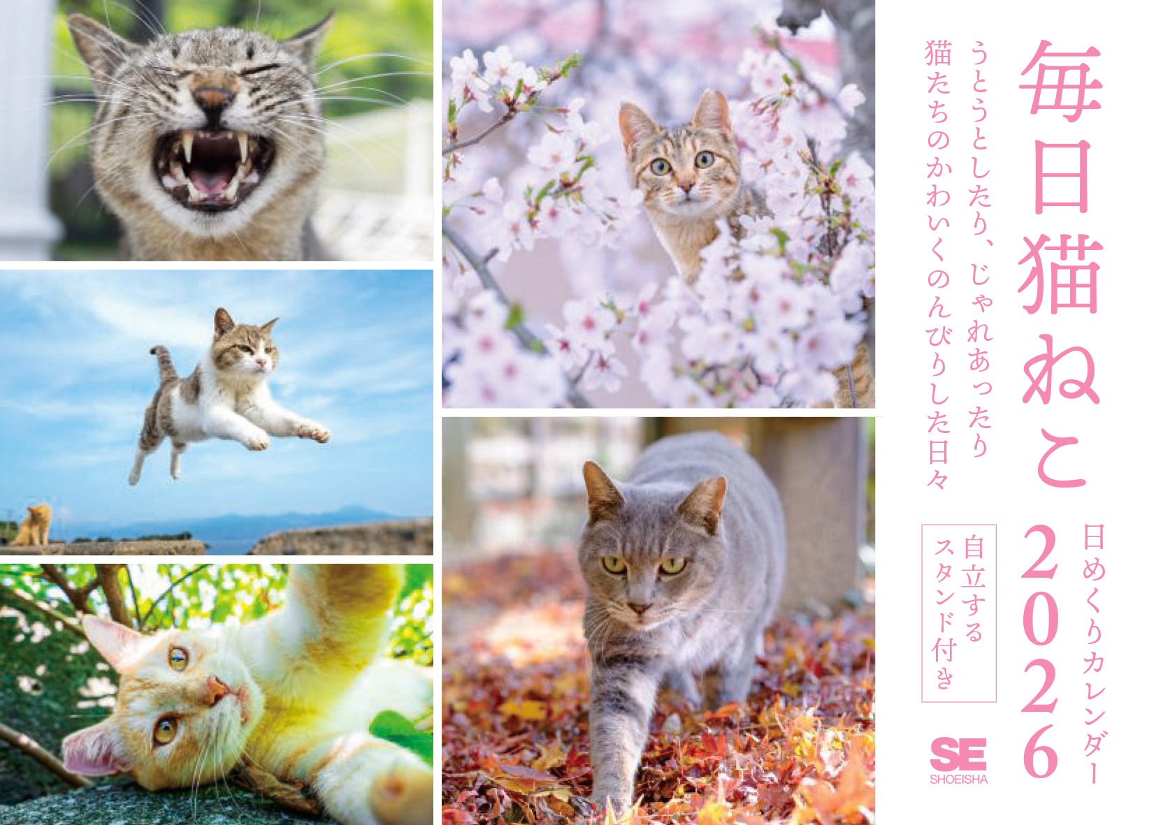 毎日猫ねこ 日めくりカレンダー 2026 ｜ SEshop｜ 翔泳社の本・電子書籍通販サイト